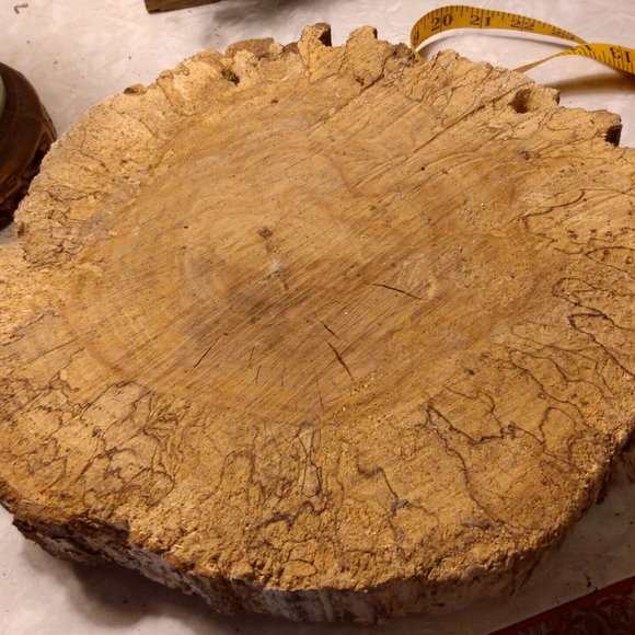 Nature | Accents | Real Wood Tree Slice 2 Crafts Garden Rustic Decor ...